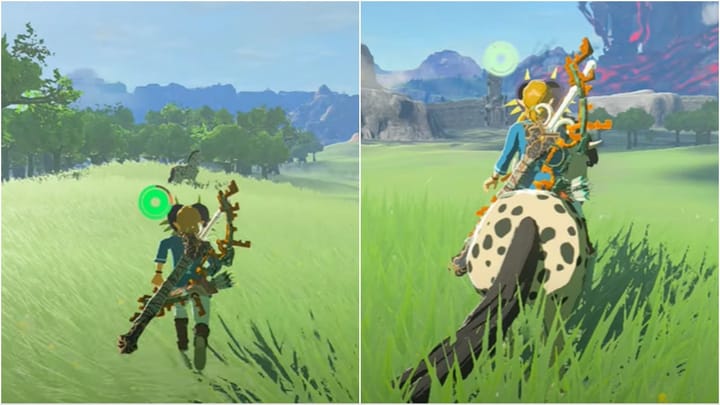 How to complete Spotting Spot side quest in the Legend of Zelda Tears ...