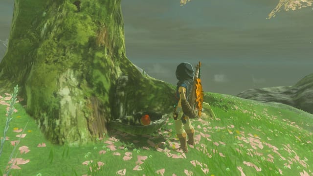 What do the Satori Cherry Blossom Trees do in The Legend of Zelda Tears ...
