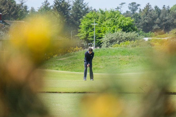 Watch : Harry Styles draws massive gallery at St. Andrews as fans flock ...