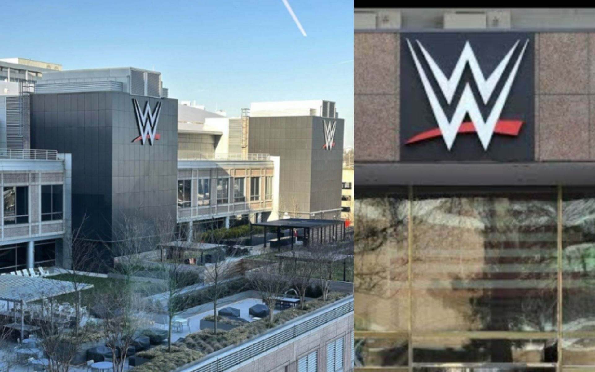 Why did WWE suspend sales of bottled water among other bizarre quests ...
