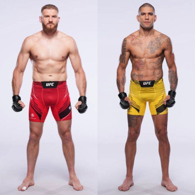 UFC Light Heavyweight: Josh Thomson details advantage Alex Pereira will ...