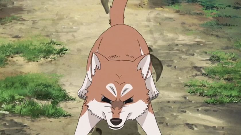 Who is Shiro (Land of Ancestors) in Naruto?