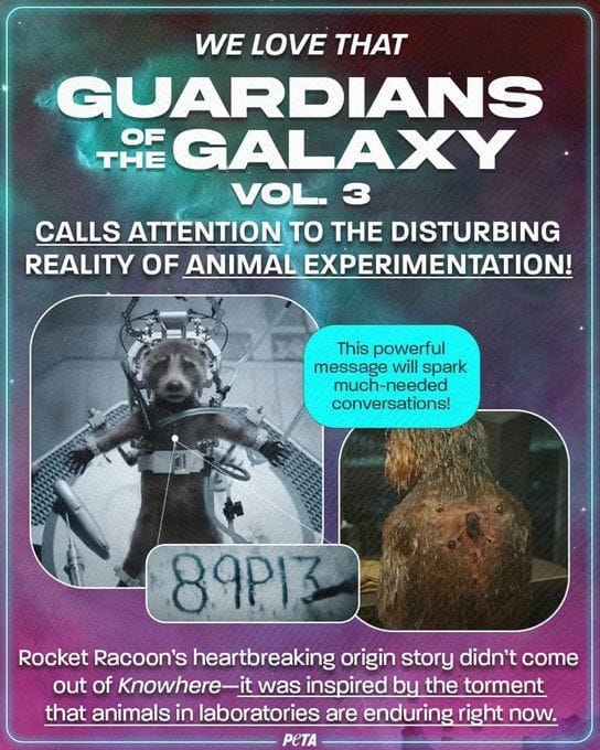 Guardians of the Galaxy 3 actress reveals why the divisive animal ...