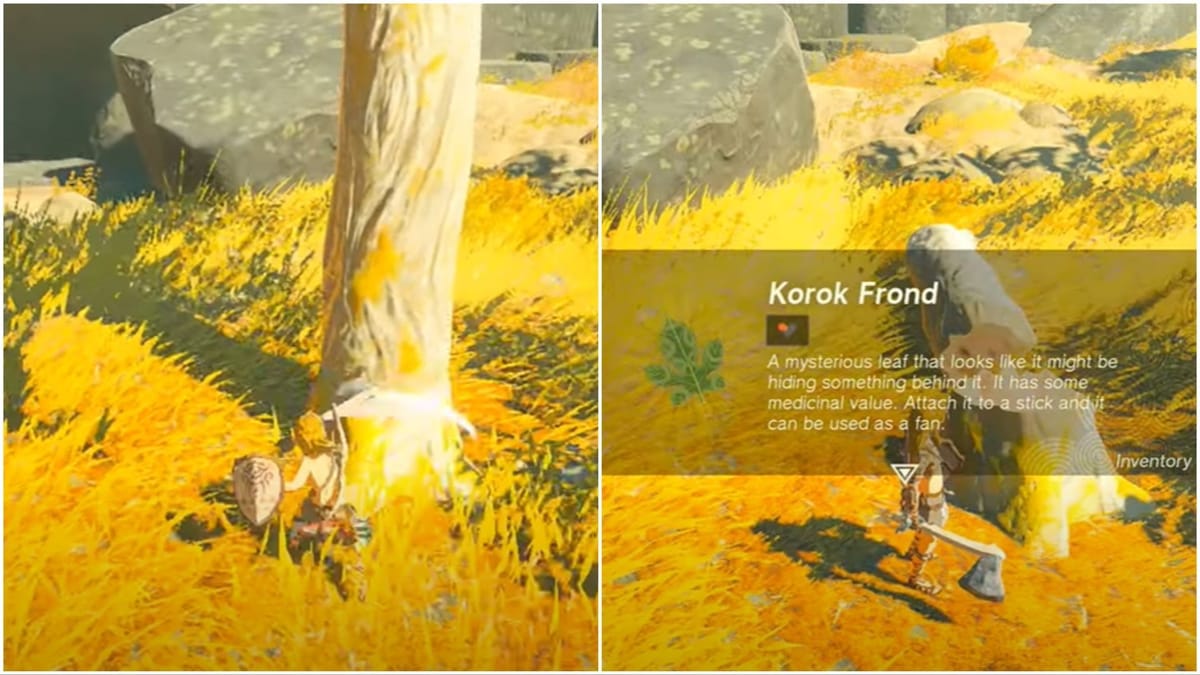 How to build a Boat in The Legend of Zelda Tears of the Kingdom