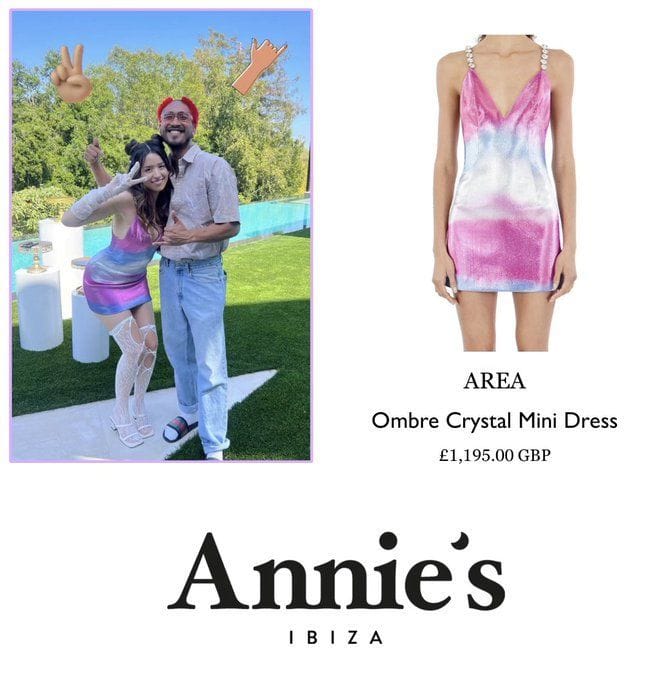 Who attended Pokimane's 27th birthday party? Bella Poarch, Dream, xQc ...