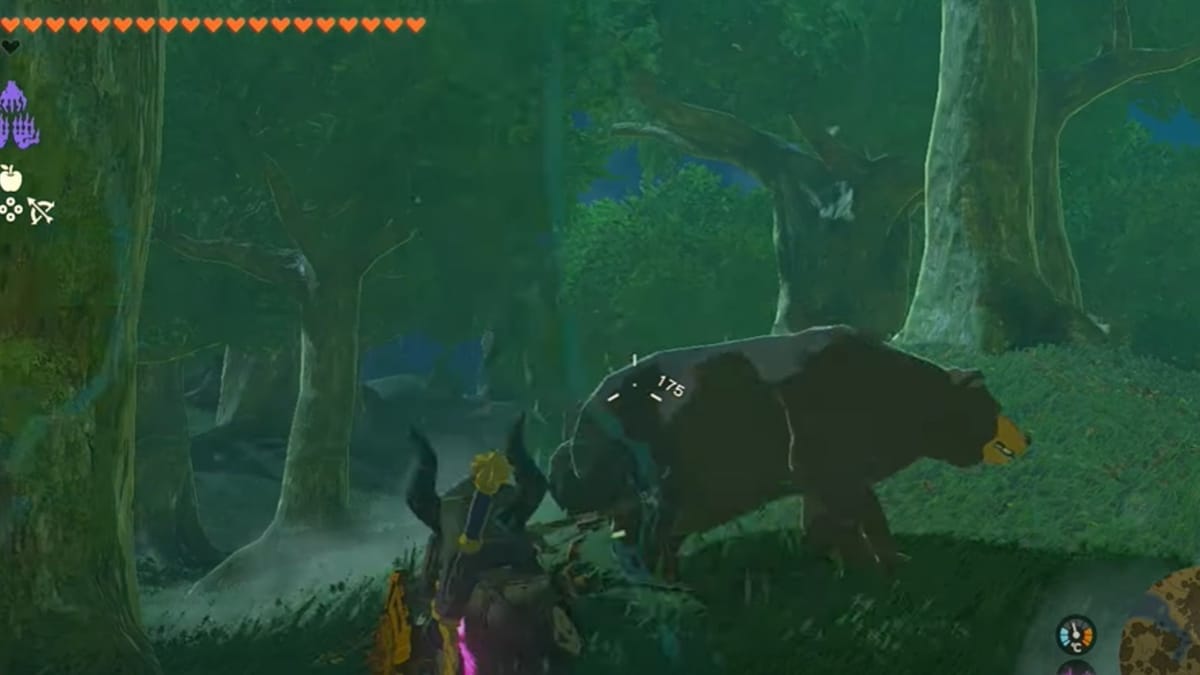 Where to find bears in The Legend of Zelda Tears of the Kingdom