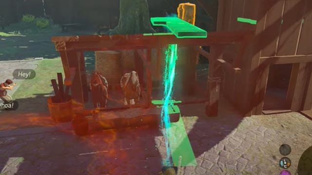 How to complete Spotting Spot side quest in the Legend of Zelda Tears ...