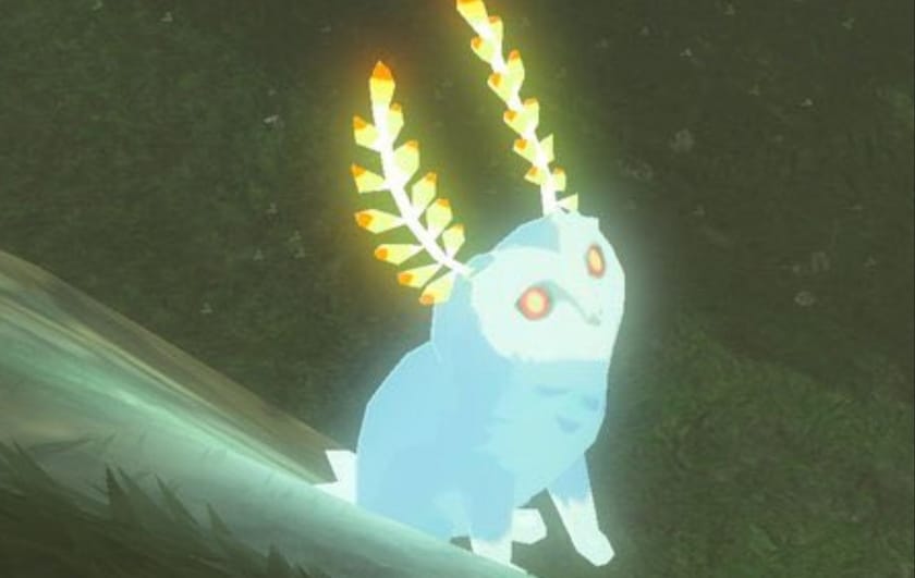 What is the blue spirit rabbit in The Legend of Zelda Tears of the Kingdom?