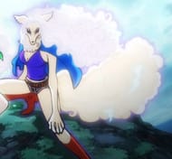 Who is Wanda in One Piece?