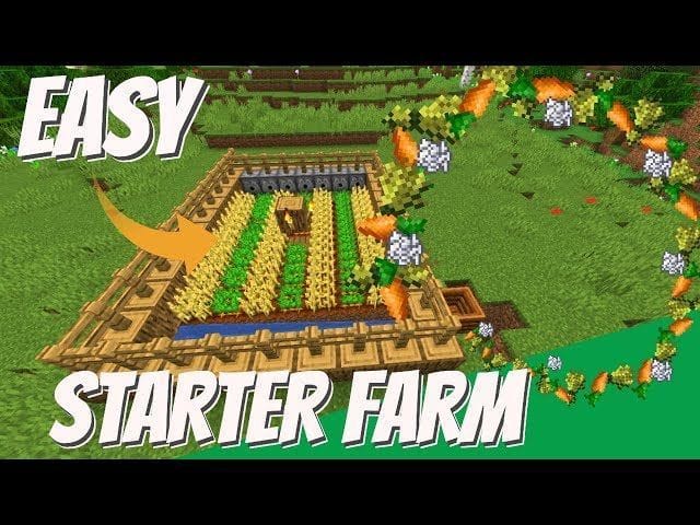 Farms in Minecraft