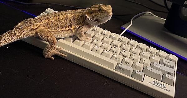 Who is Angela Harrell? Heckler and Koch woke tweets controversy ...