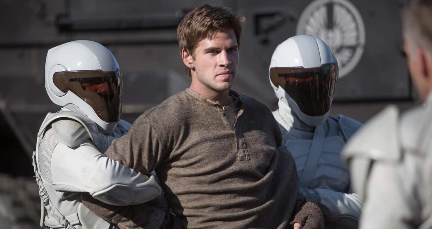 Who are the Peacekeepers in The Hunger Games?