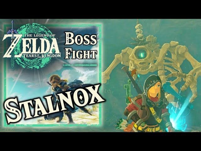 10 best paraglider designs in The Legend of Zelda Tears of the Kingdom