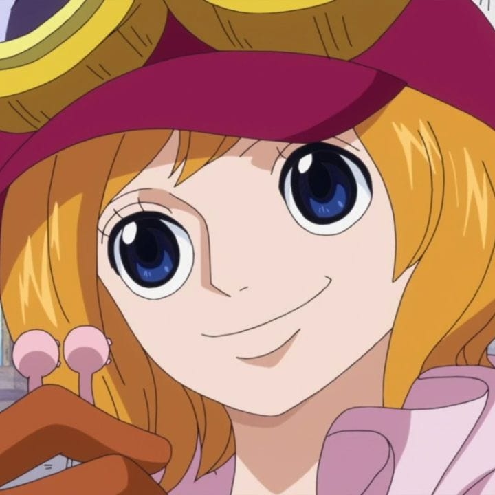 Who is Koala in One Piece?