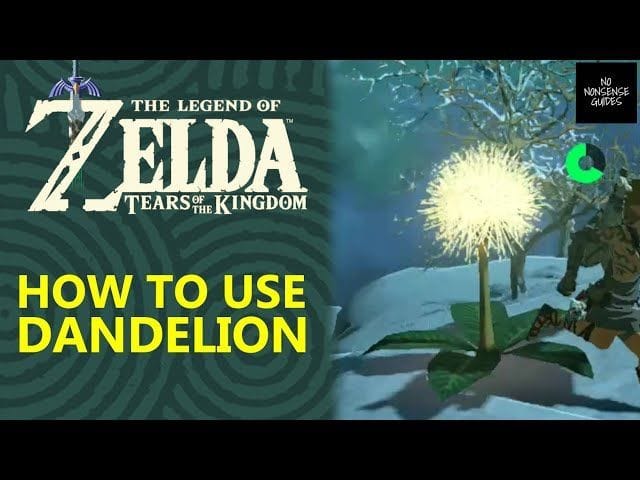 Dandelion: How to solve the Dandelion puzzle in The Legend of Zelda ...