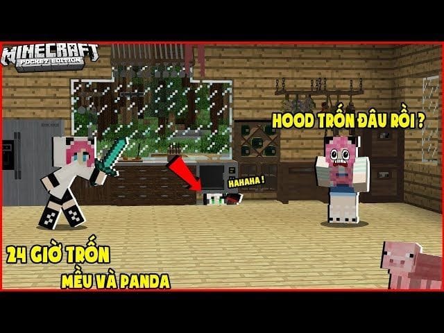 RedhoodVN's Profile, Net Worth, Age, Height, Relationships, FAQs