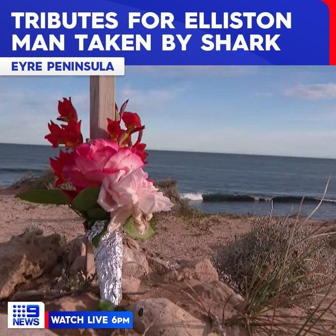 What happened to Simon Baccanello? Elliston Area School community pays ...