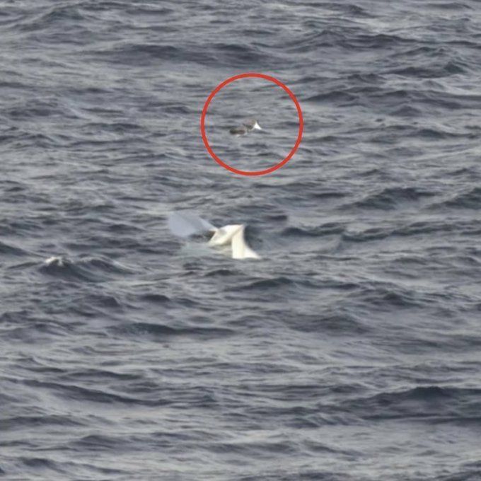 Fact Check: Did the Logitech controller survive? Footage of Titan ...