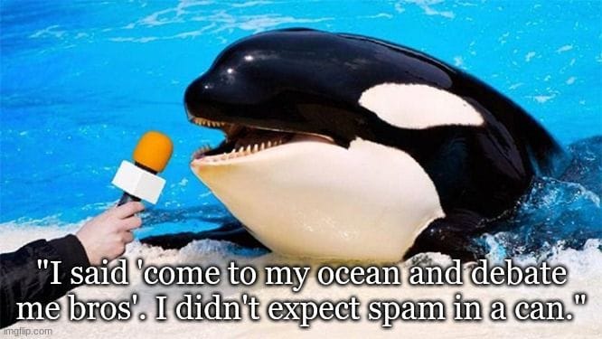 whales: Fact Check: Are the orca killer whales responsible for the ...