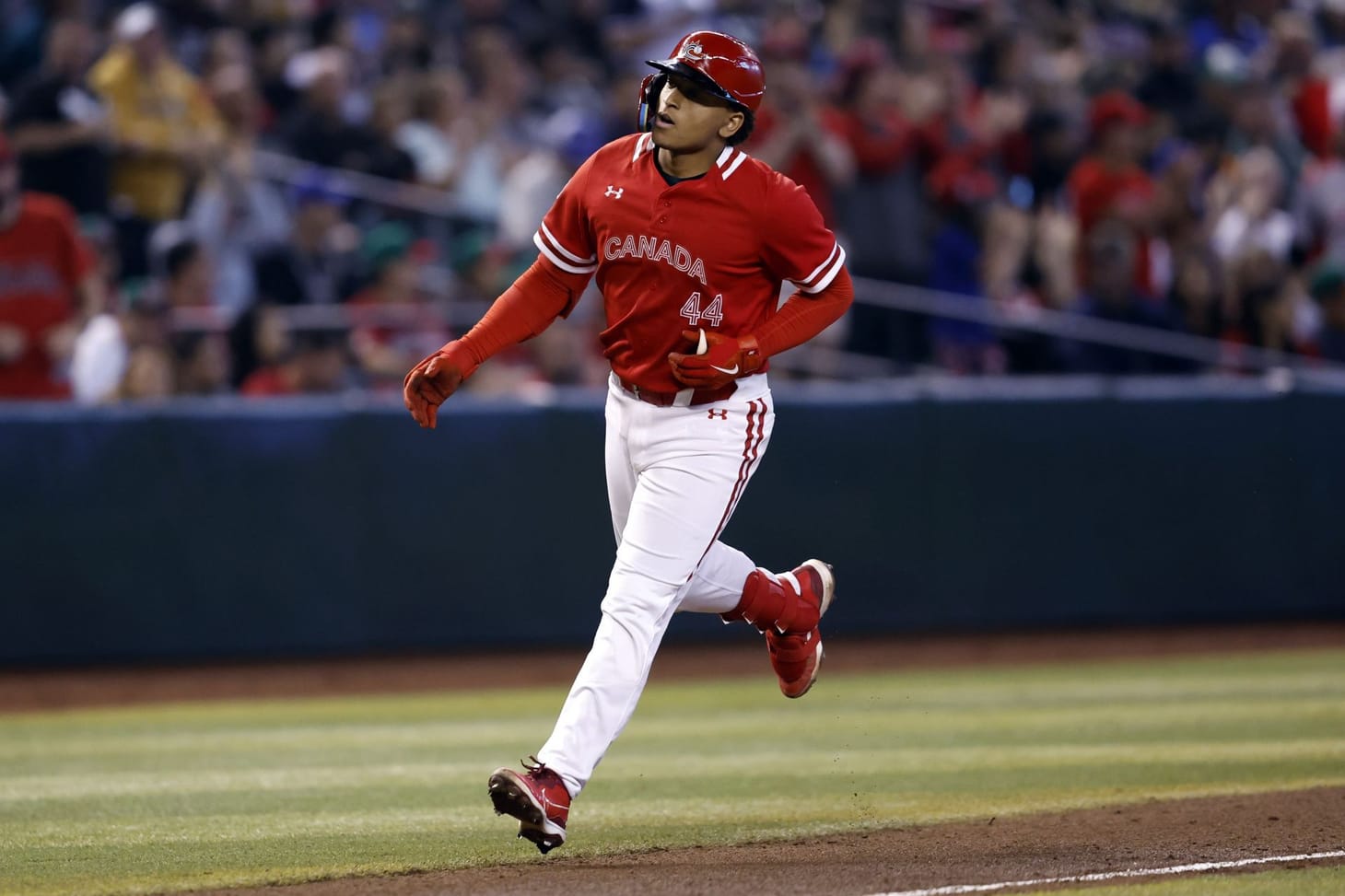 Josh Naylor and Bo Naylor: MLB fans loving brothers Josh Naylor and Bo ...