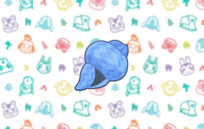 Animal Crossing New Horizons Summer Shells: Where to find, seasons, and ...