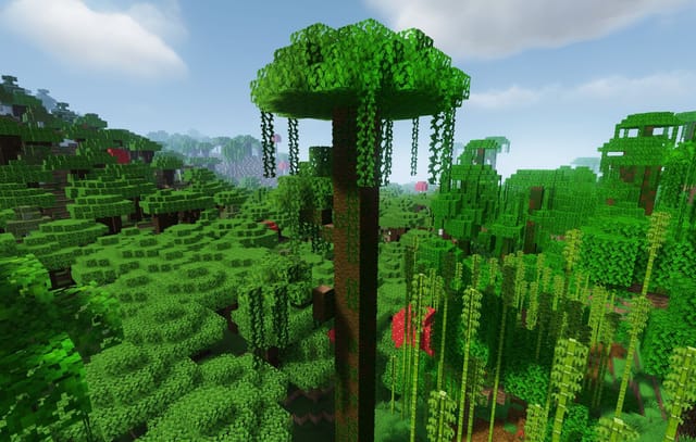 How to get all tree types in Minecraft 1.20