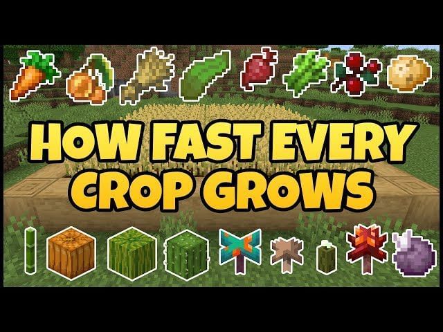 Farming/Crops in Minecraft