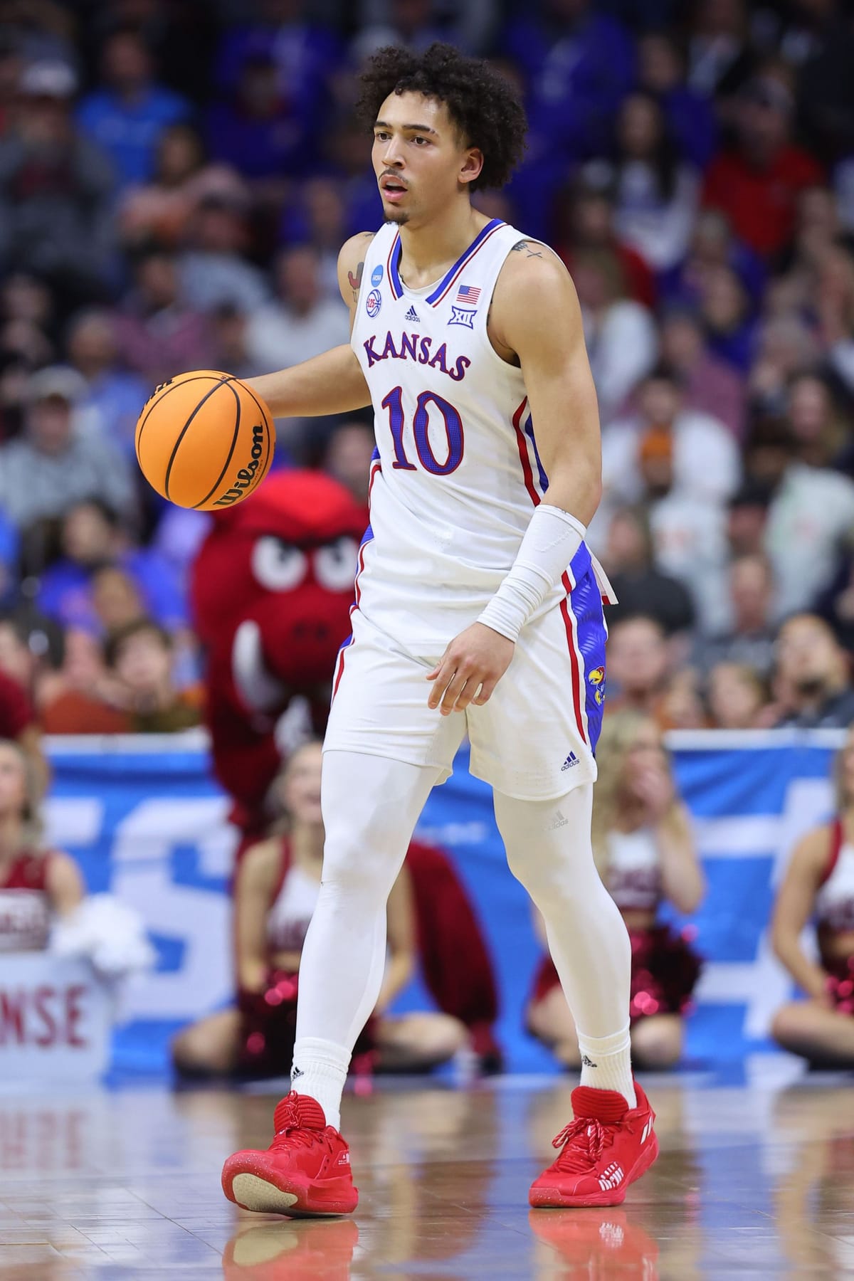 What is Jalen Wilson’s Wingspan?