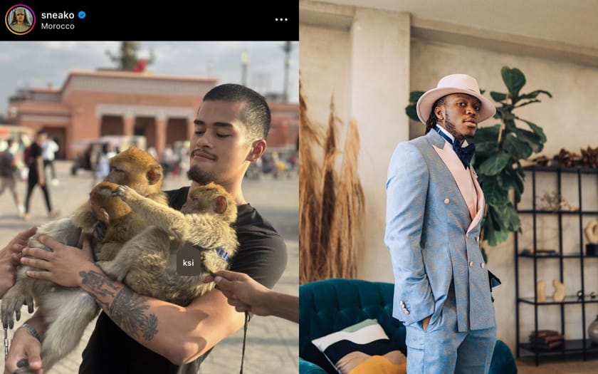 "I really want to see him get knocked out in a ring" - Netizens divided ...