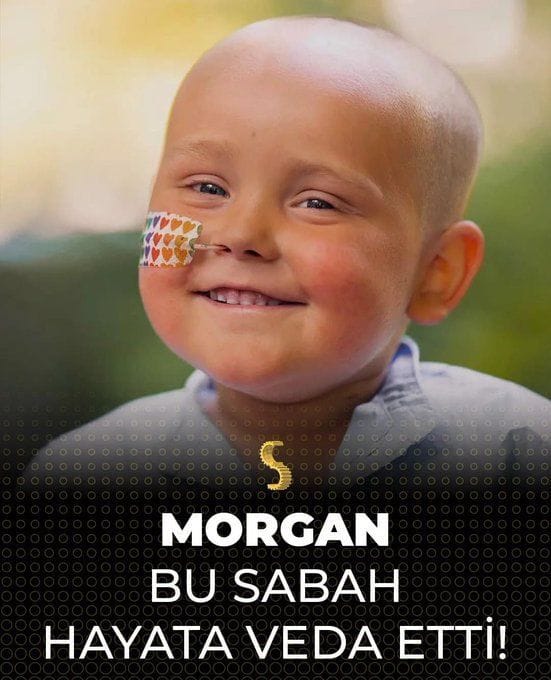 “It’s had us in tears” - F1 fans sob as Morgan, the boy Mercedes ...