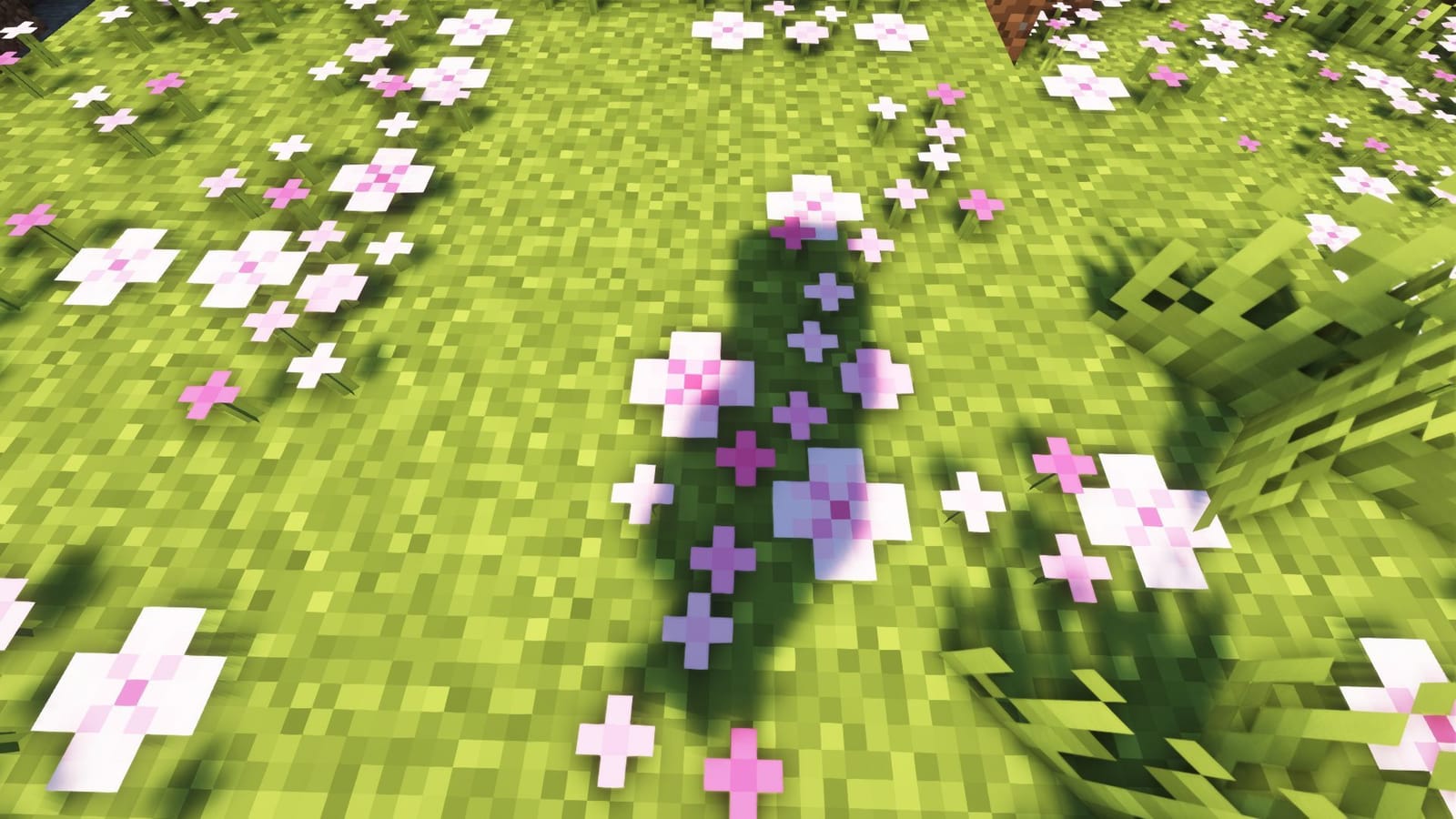 Minecraft cherry blossom update: Everything you need to know