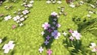 Minecraft cherry blossom update: Everything you need to know