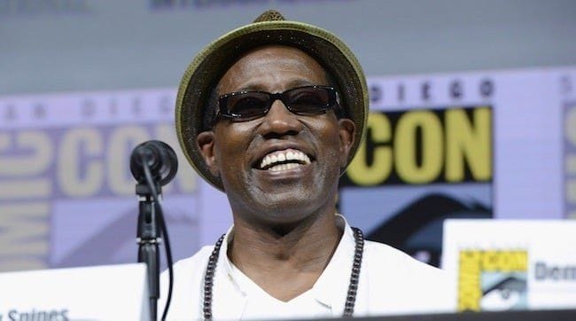 Why did Wesley Snipes go to jail? Internet comes out in support of ...