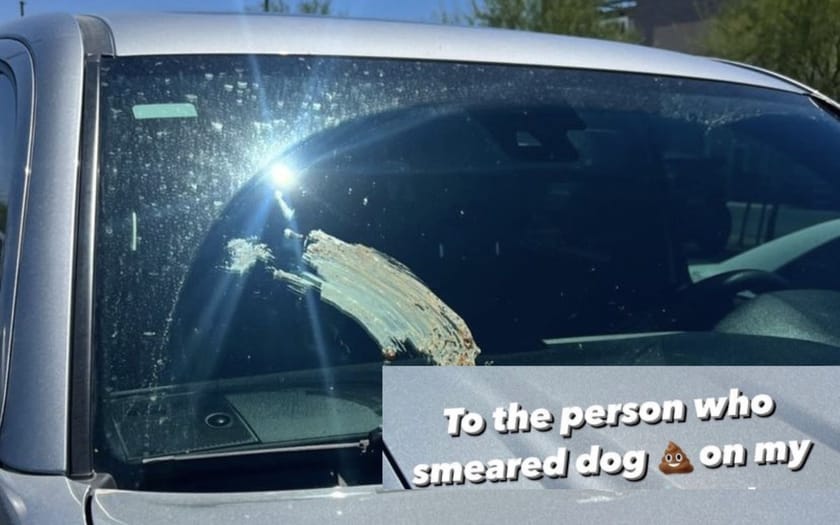 UFC fighter Dan Ige calls out anonymous vandal who smeared dog poop on ...