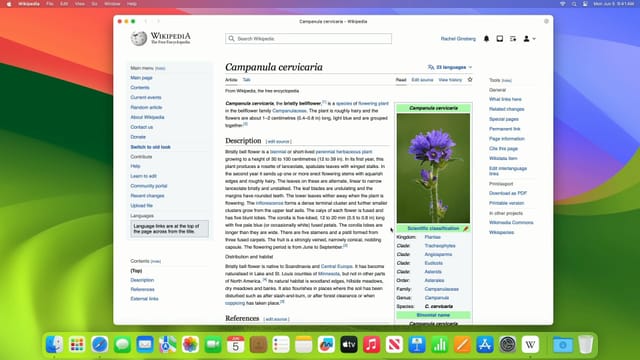 How to create Safari web apps on your MacBook