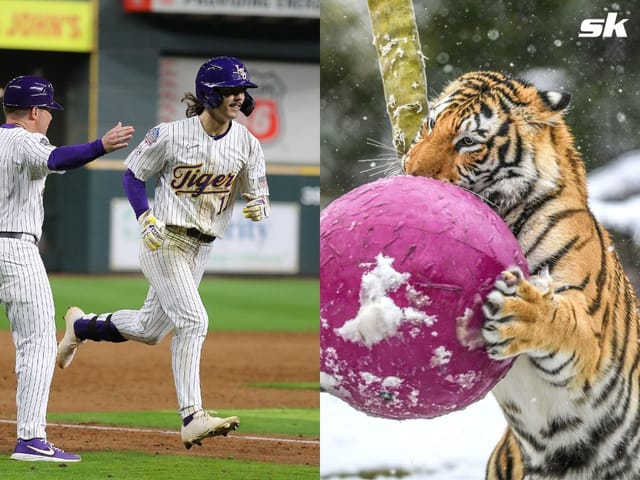 What is LSU mascot? All about Mike the Tiger’s iconic tradition.