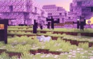 All New Biomes In Minecraft 1 20 Update All New Biomes In Minecraft 1 20 Update