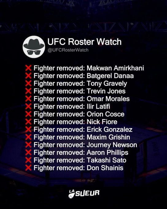 UFC firing: Fans left shocked as UFC releases 8 more fighters a day ...