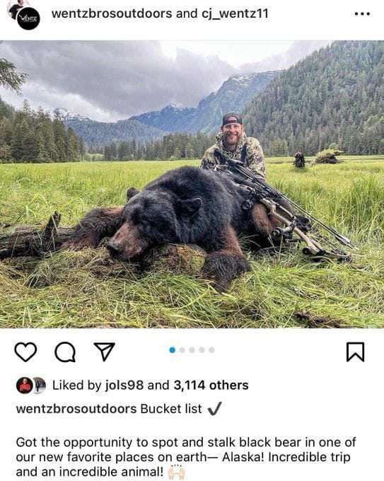 Carson Wentz’s viral bear killing stunt gets condemned by FS1 ...