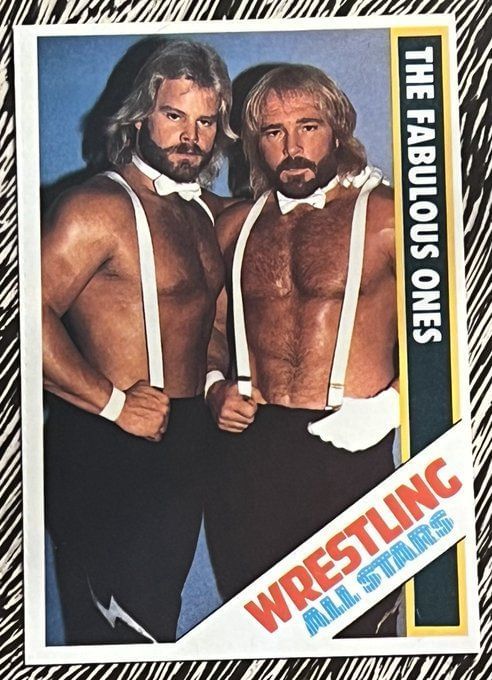 Who is Stan Lane? The pro wrestling legend who took a DNA test to prove ...