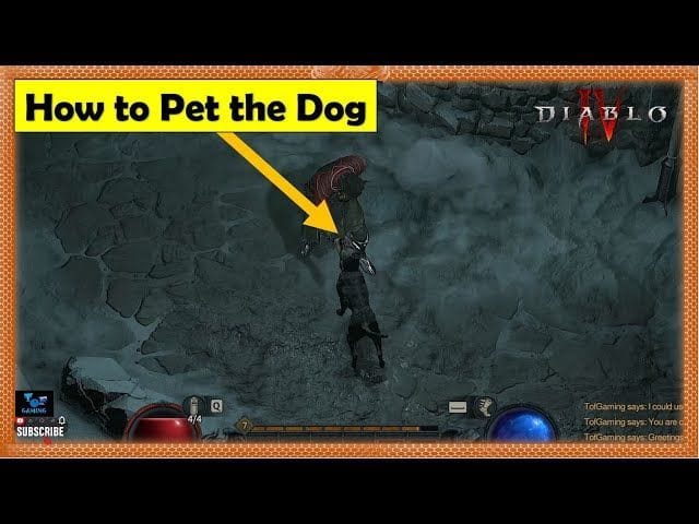 How to pet a dog in Diablo 4