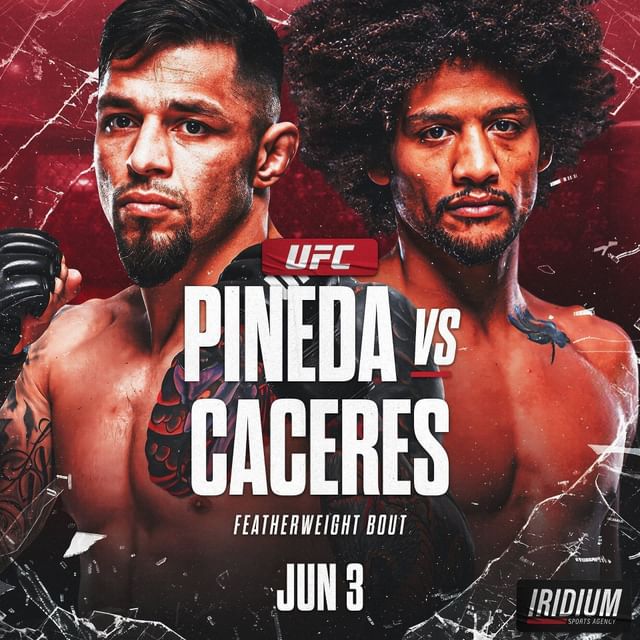 Daniel Pineda Next Fight: Opponent, Date, Venue