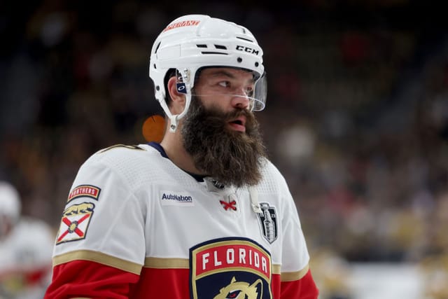 Radko Gudas