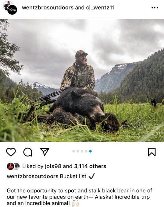 Carson Wentz’s viral bear killing stunt gets condemned by FS1 ...