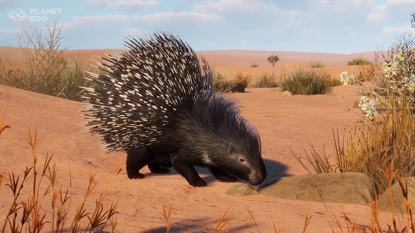 Planet Zoo Arid Animal Pack review: The horn, the hump, and the quill