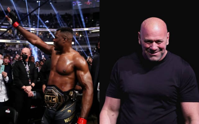 Tyson Fury: Francis Ngannou gives sly retort to Dana White proposing ...