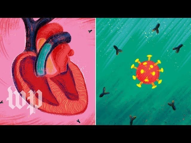 "This shouldn't be happening to healthy 28-year-olds" - Fans erupt in ...