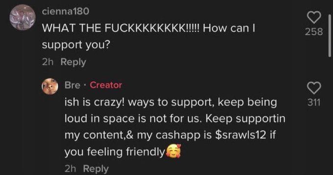 "All she had to do was lay low and get another job": UnusuallyBree ...