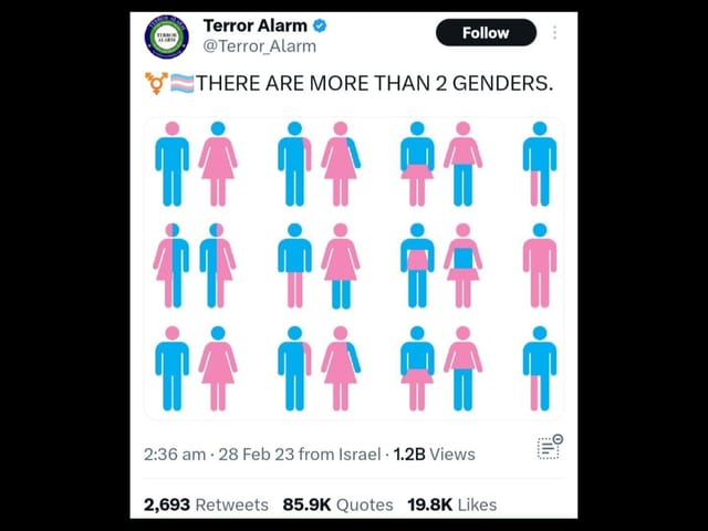 gender diversity: "I consider my ears & nose as female": Terror Alarm's ...