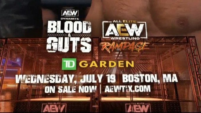 Former WWE Women's Champion could debut in AEW at Blood and Guts to confront Saraya (fka Paige)